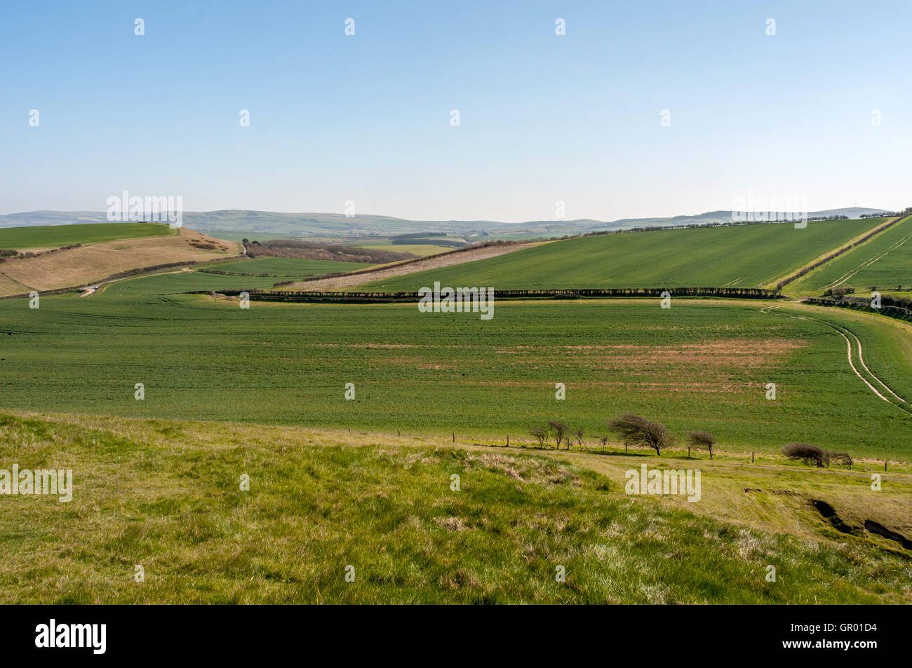 Walking over Chillerton Down on the Isle of Wight Stock Photo - Alamy