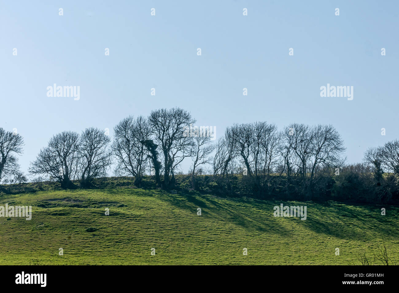 Chillerton High Resolution Stock Photography and Images - Alamy