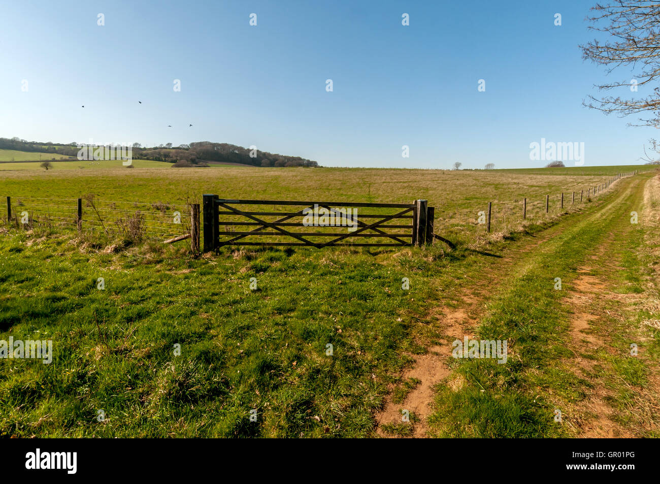 The chillerton hills hi-res stock photography and images - Alamy