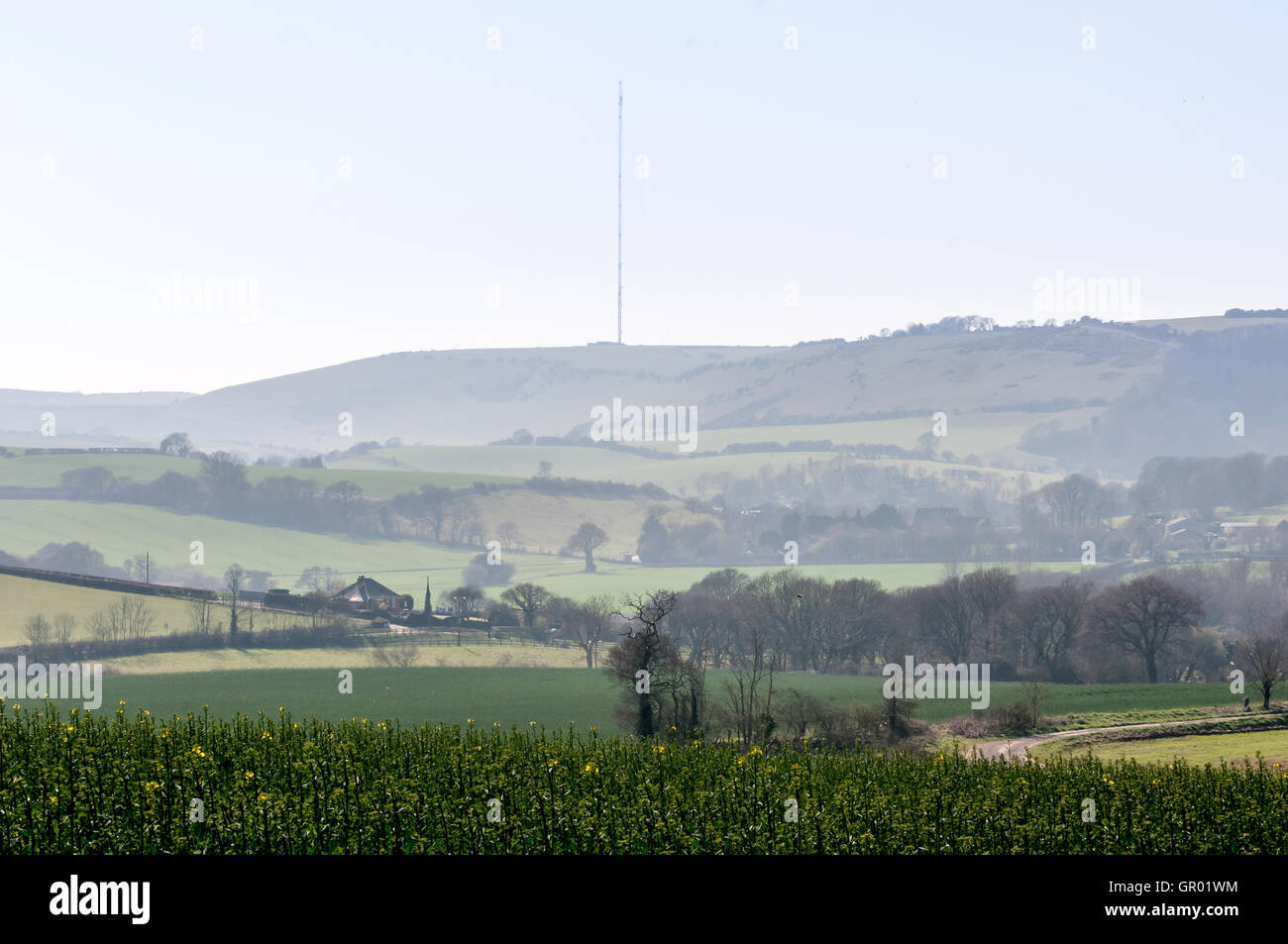 Walking over Chillerton Down on the Isle of Wight Stock Photo - Alamy
