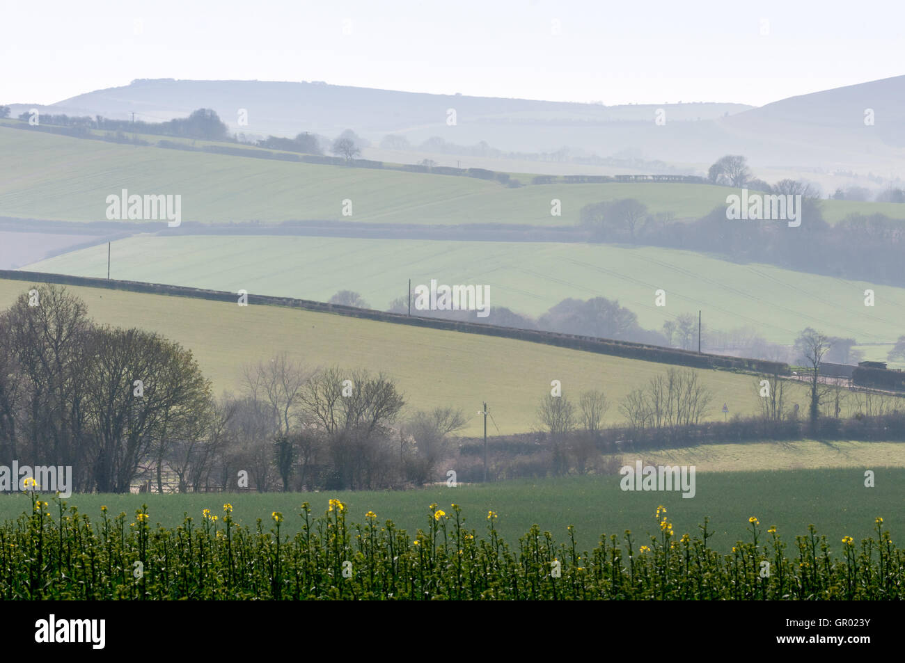 Walking over Chillerton Down on the Isle of Wight Stock Photo - Alamy