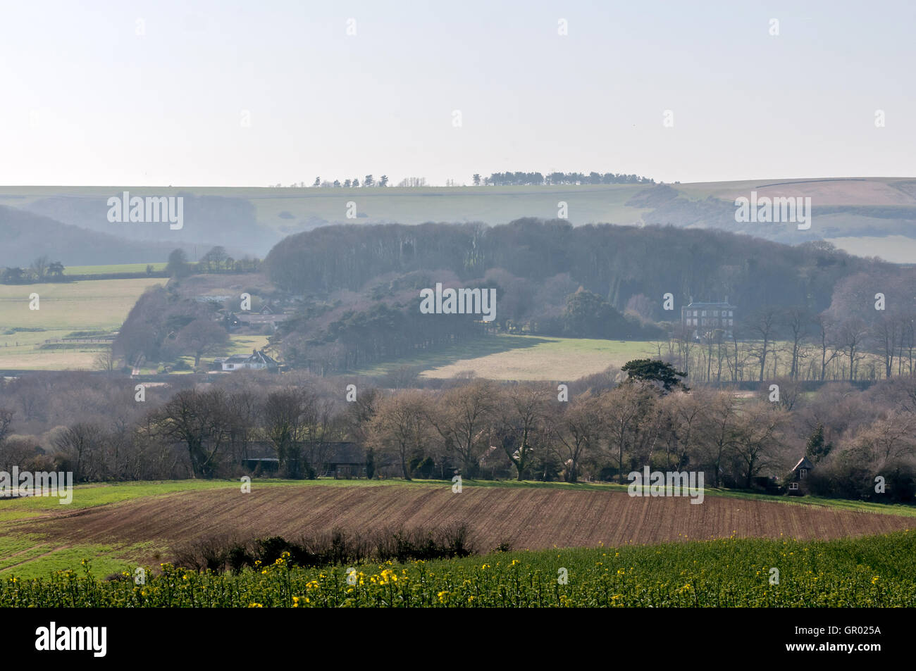 Walking over Chillerton Down on the Isle of Wight Stock Photo - Alamy