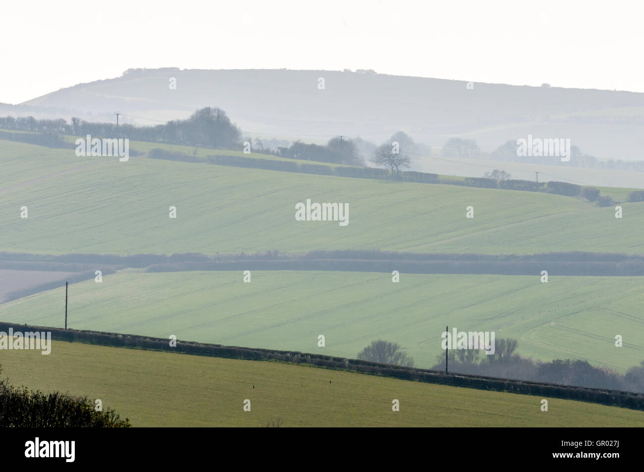 Walking over Chillerton Down on the Isle of Wight Stock Photo - Alamy