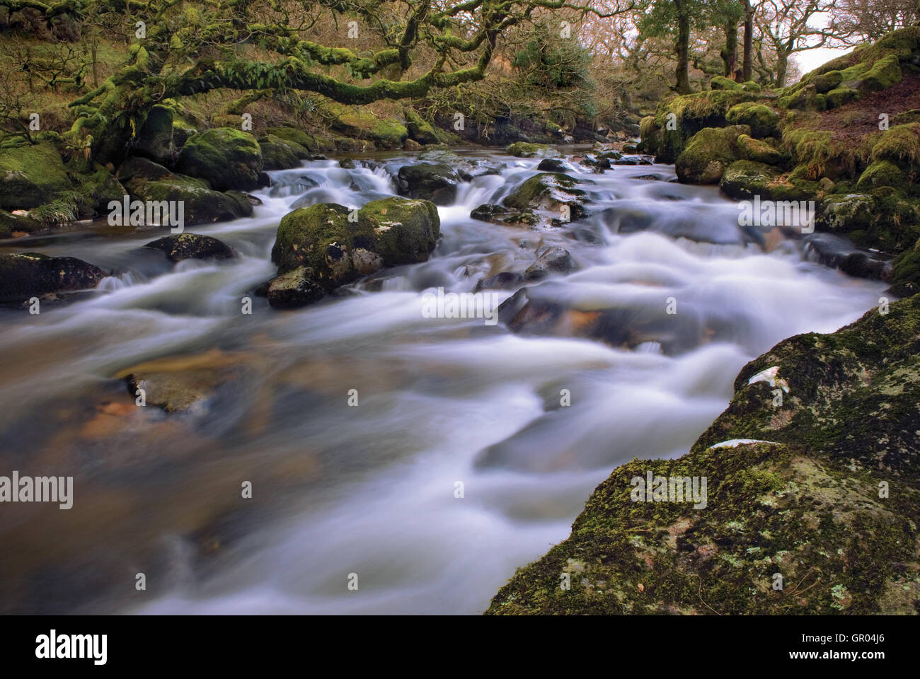 The River Plym near Cadover bridge, Dartmoor Stock Photo - Alamy