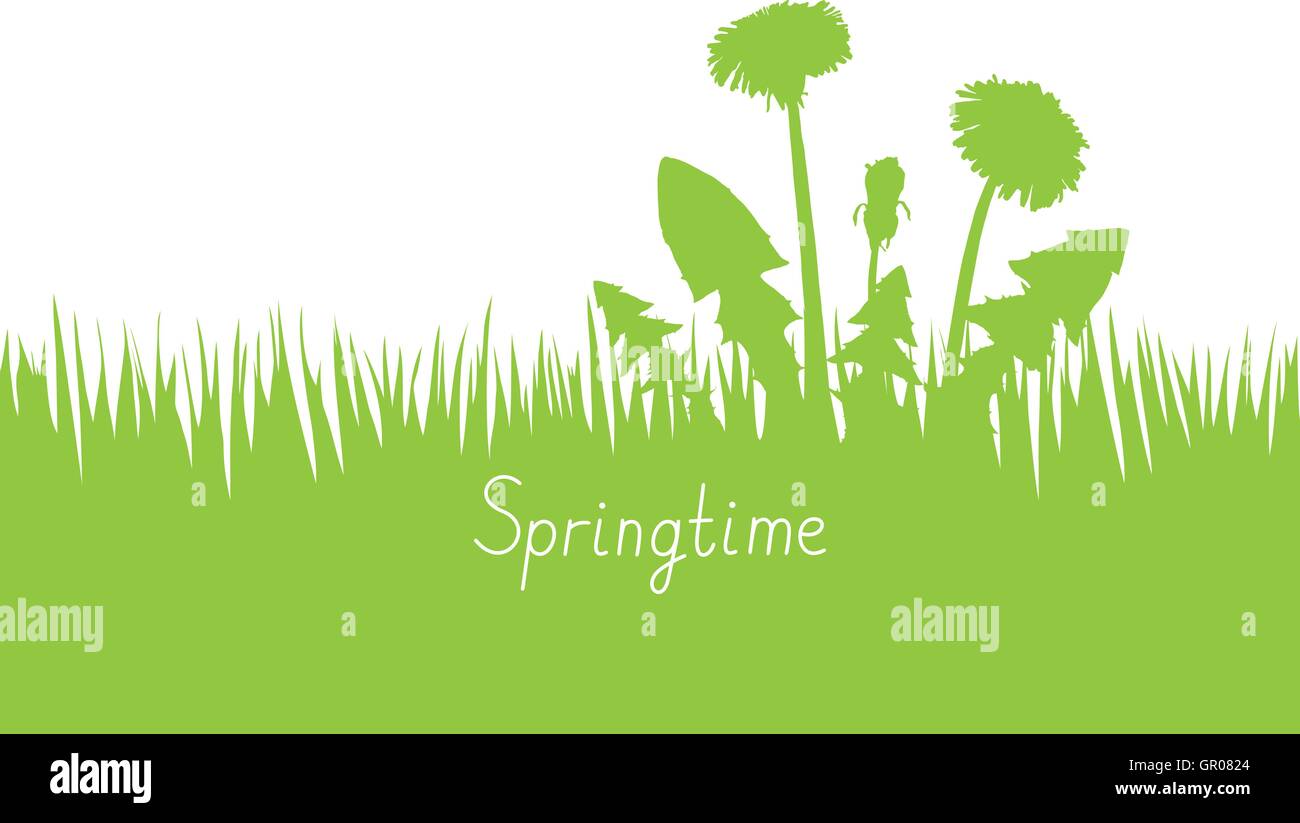 Light green spring background with dandelion and grass silhouette Stock ...