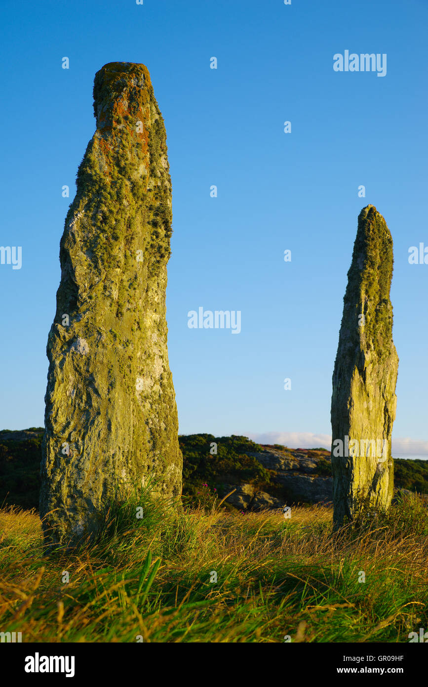 Penrhos Feilw Standing Stones, Anglesey ,Wales Stock Photo - Alamy Penrhos Feilw Standing Stones, Anglesey ,Wales Stock Photo - Alamy