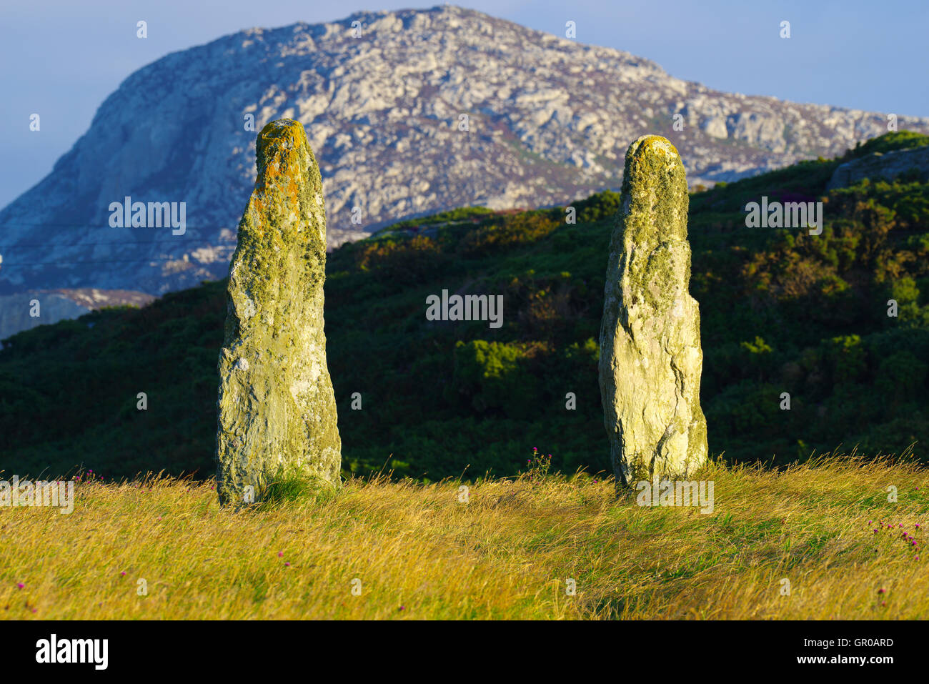 Standing stones wales hi-res stock photography and images - Alamy