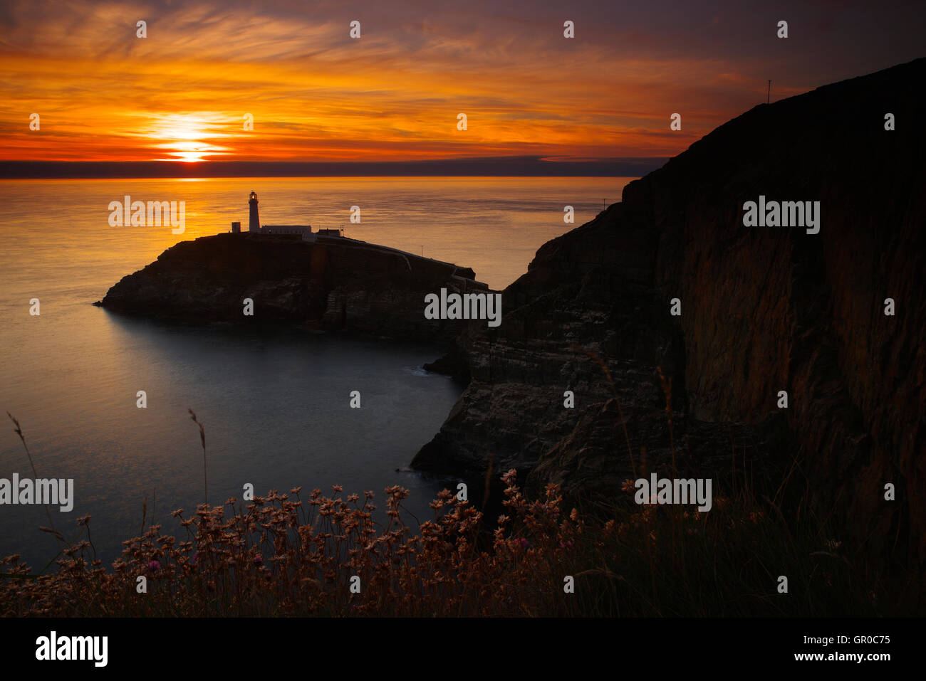 South Stack Lighthouse at Sunset, Isle of Anglesey Stock Photo - Alamy