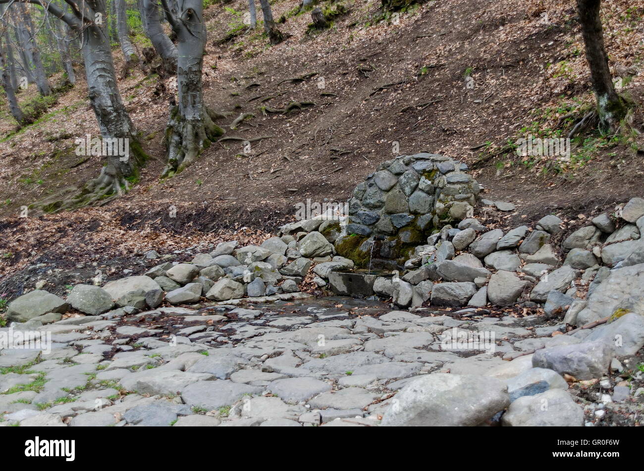 Fountain with fresh cold water in mountain Vitosha, Sofia Stock Photo ...