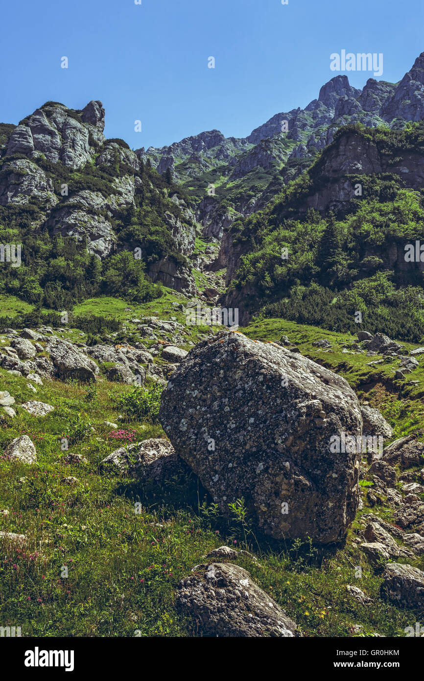 Alpine scenery with big boulder and steep rocky slope in picturesque ...