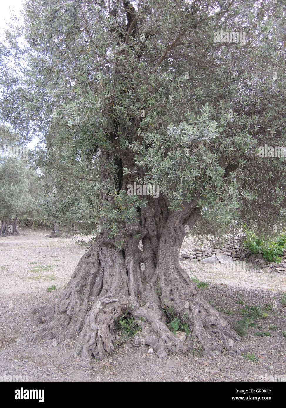 Hagia Triada (also Ayia Triada, Agia Triada, Agia Trias, Greek: [aˈʝia ...