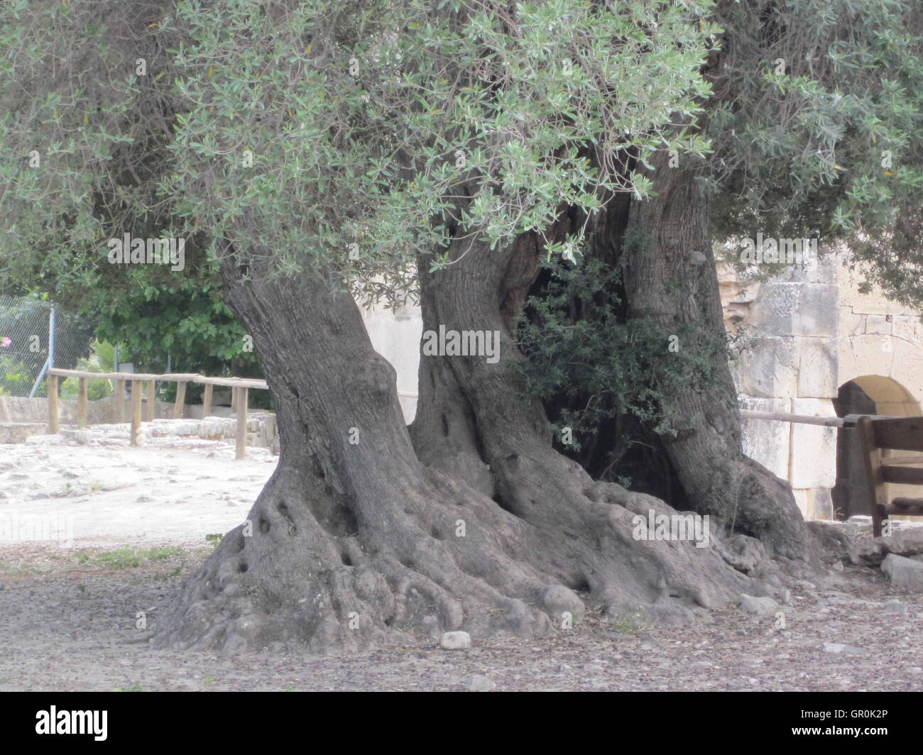 Hagia Triada (also Ayia Triada, Agia Triada, Agia Trias, Greek: [aˈʝia ...