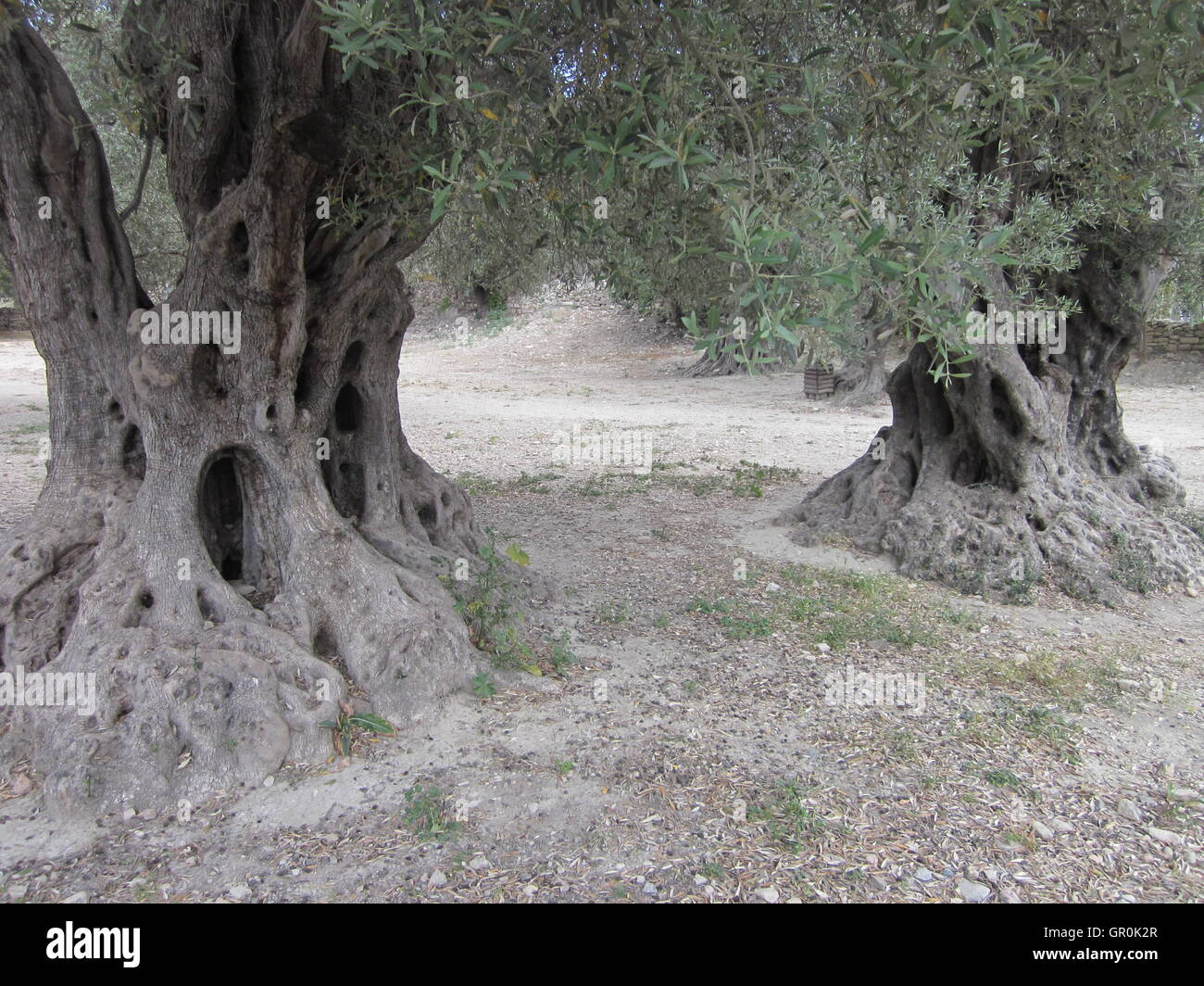 Hagia Triada (also Ayia Triada, Agia Triada, Agia Trias, Greek: [aˈʝia ...