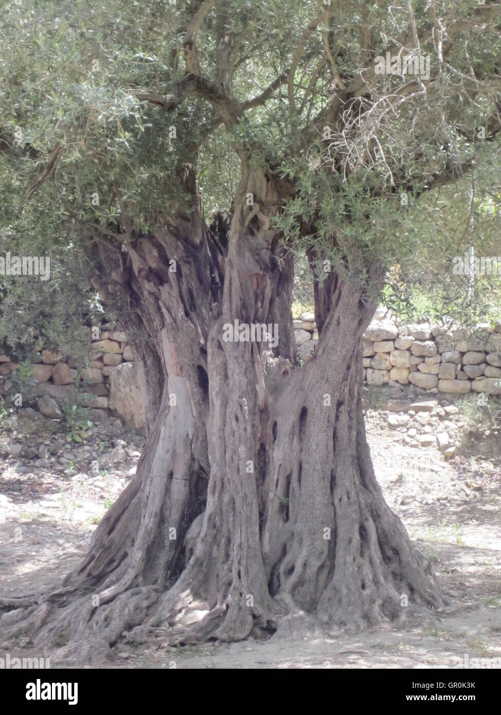 Hagia Triada (also Ayia Triada, Agia Triada, Agia Trias, Greek: [aˈʝia ...