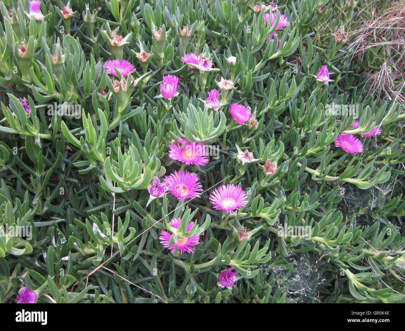 Hagia Triada (also Ayia Triada, Agia Triada, Agia Trias, Greek: [aˈʝia ...