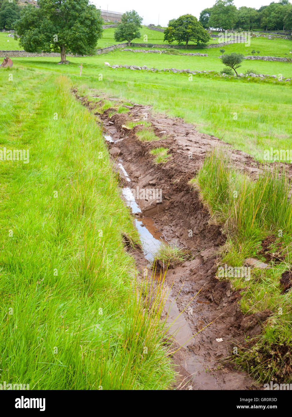 Low lying farmland hi-res stock photography and images - Alamy