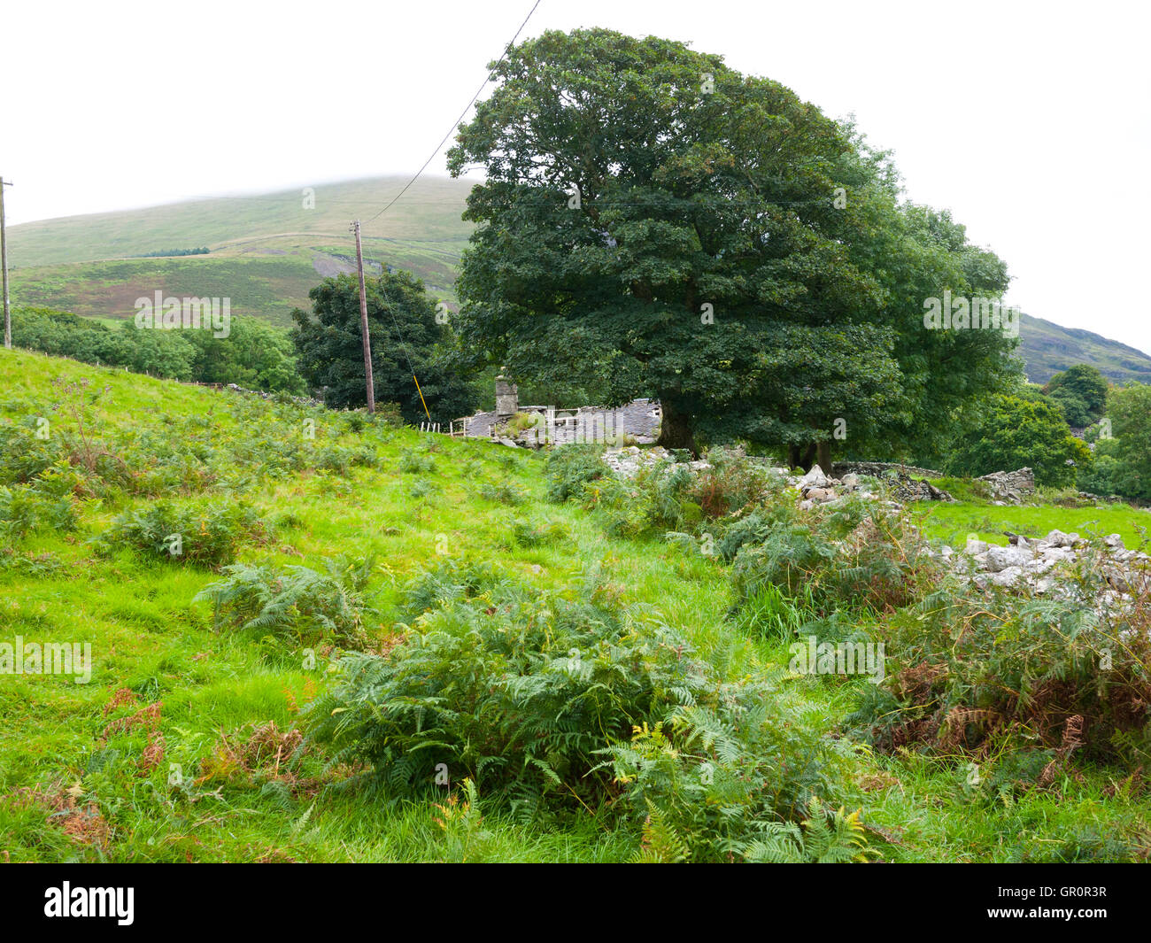 Old deserted cottage near Waunfawr North Wales, UK Stock Photo - Alamy