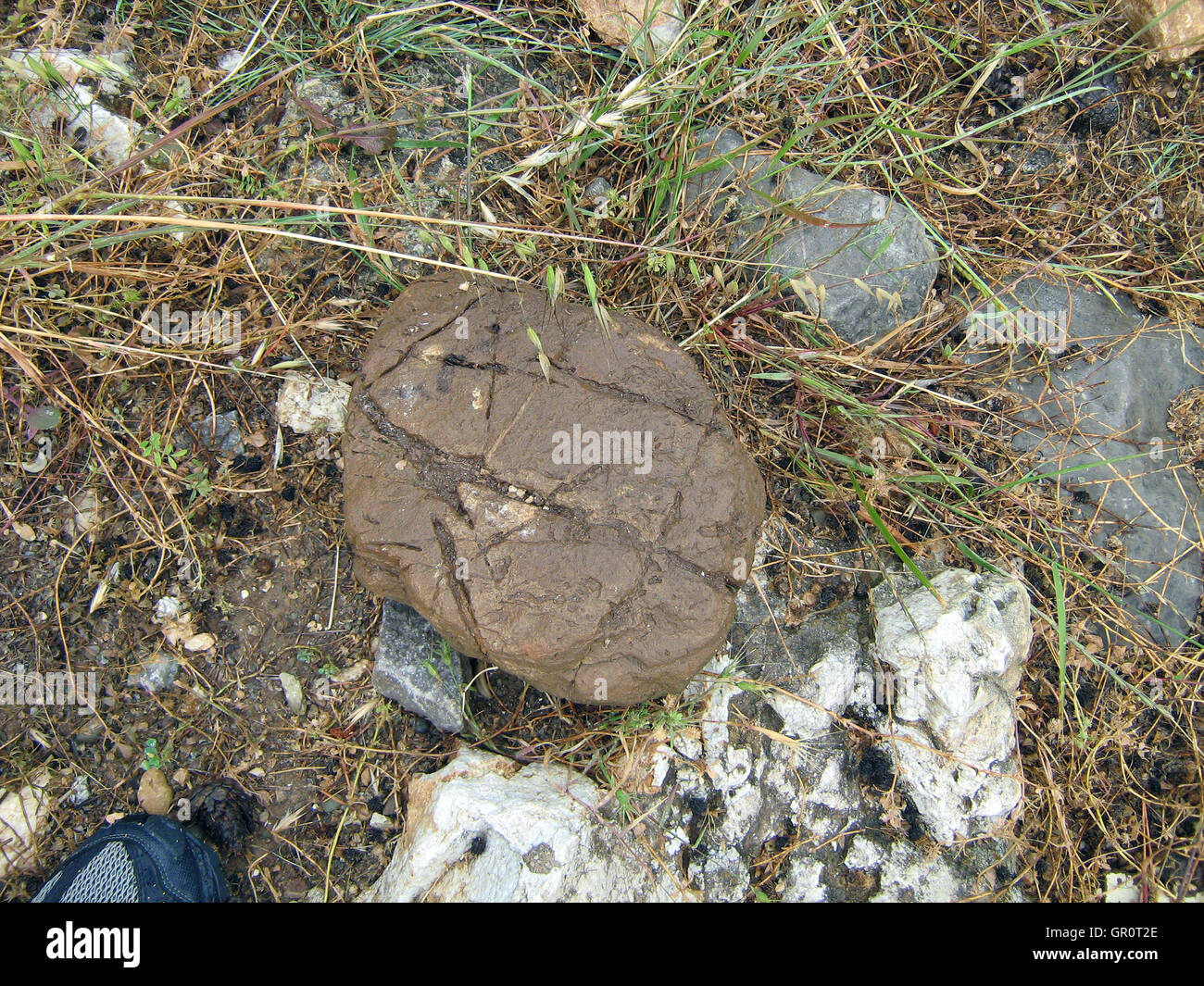 Hagia Triada (also Ayia Triada, Agia Triada, Agia Trias, Greek: [aˈʝia ...