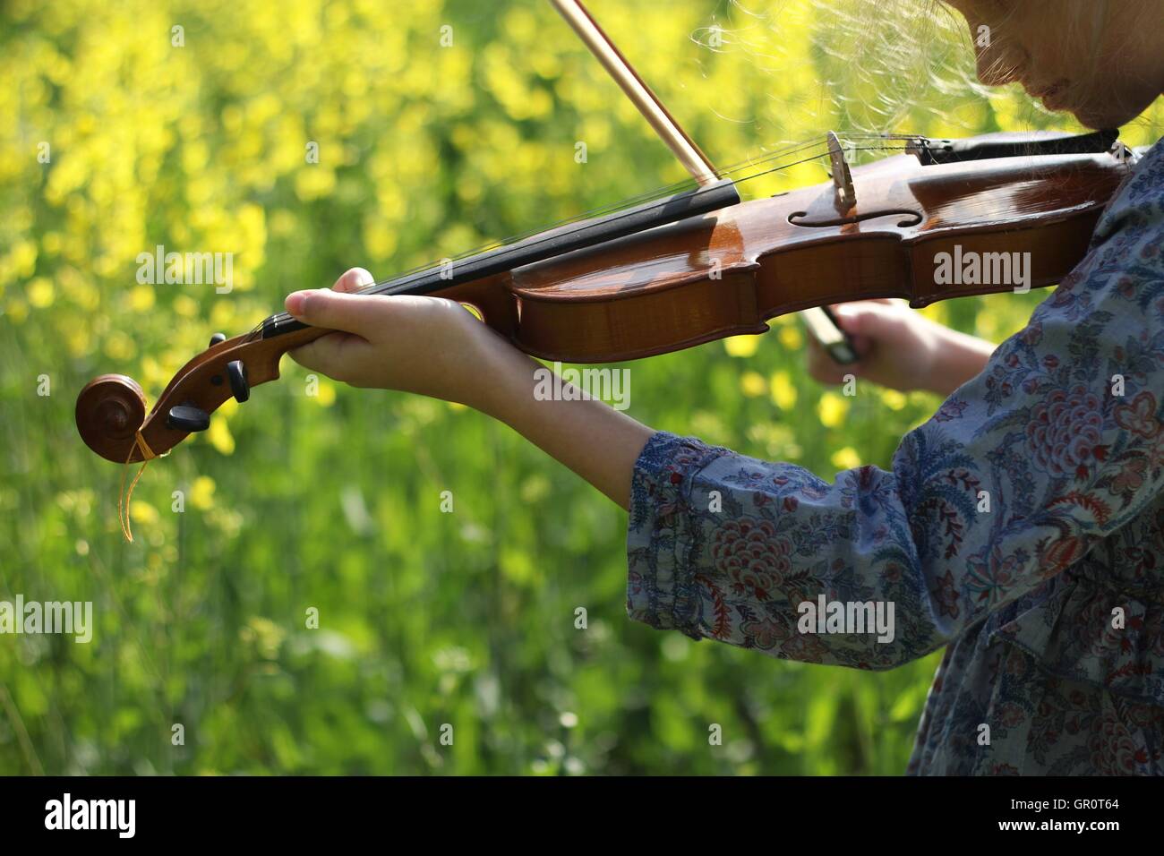 Person playing violin hi-res stock photography and images - Alamy