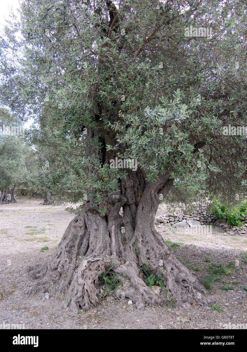 Hagia Triada (also Ayia Triada, Agia Triada, Agia Trias, Greek: [aˈʝia ...