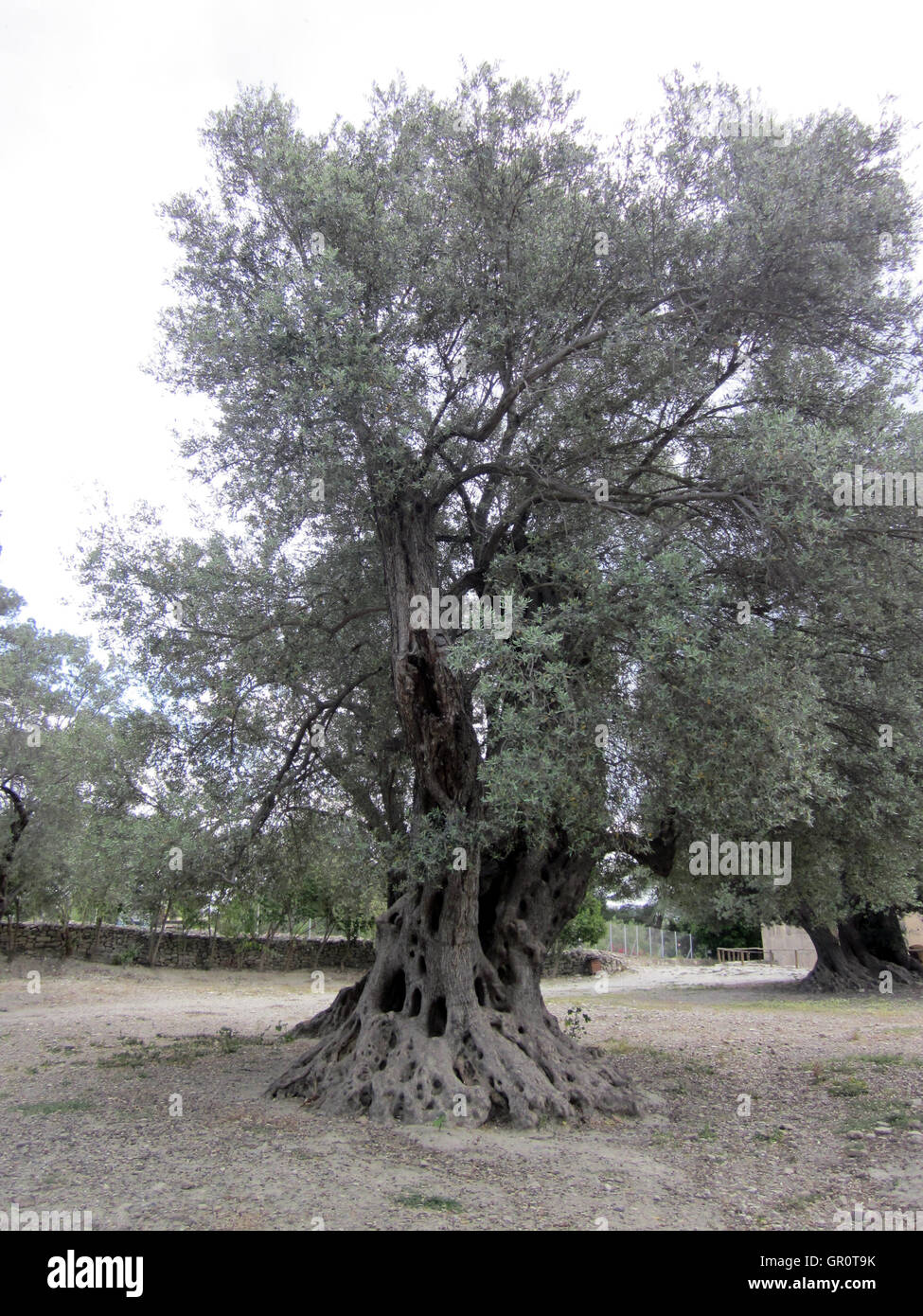 Hagia Triada (also Ayia Triada, Agia Triada, Agia Trias, Greek: [aˈʝia ...