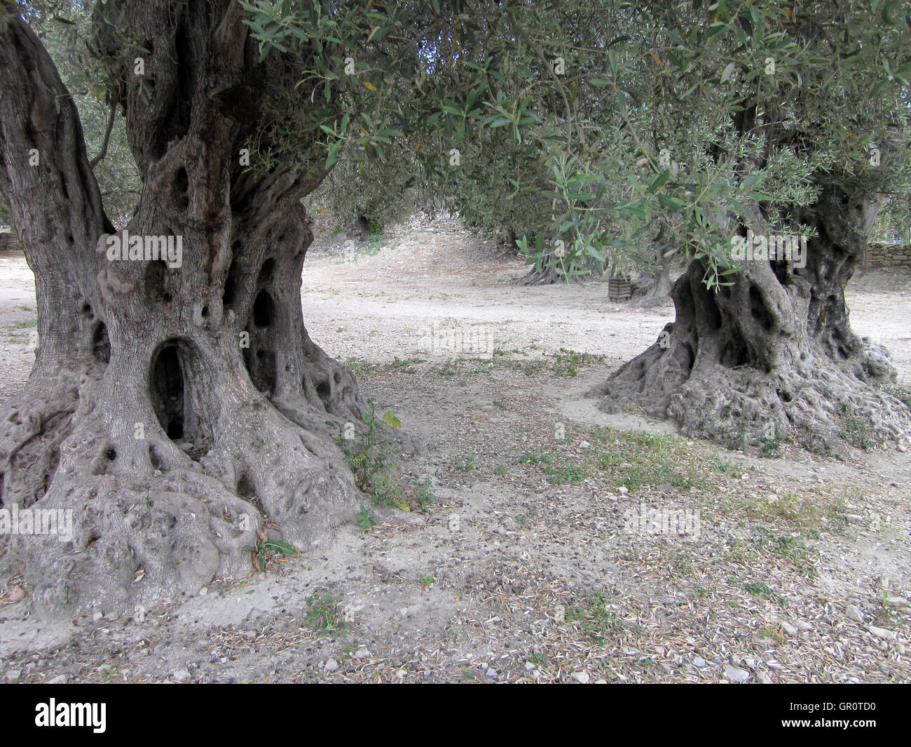 Hagia Triada (also Ayia Triada, Agia Triada, Agia Trias, Greek: [aˈʝia ...