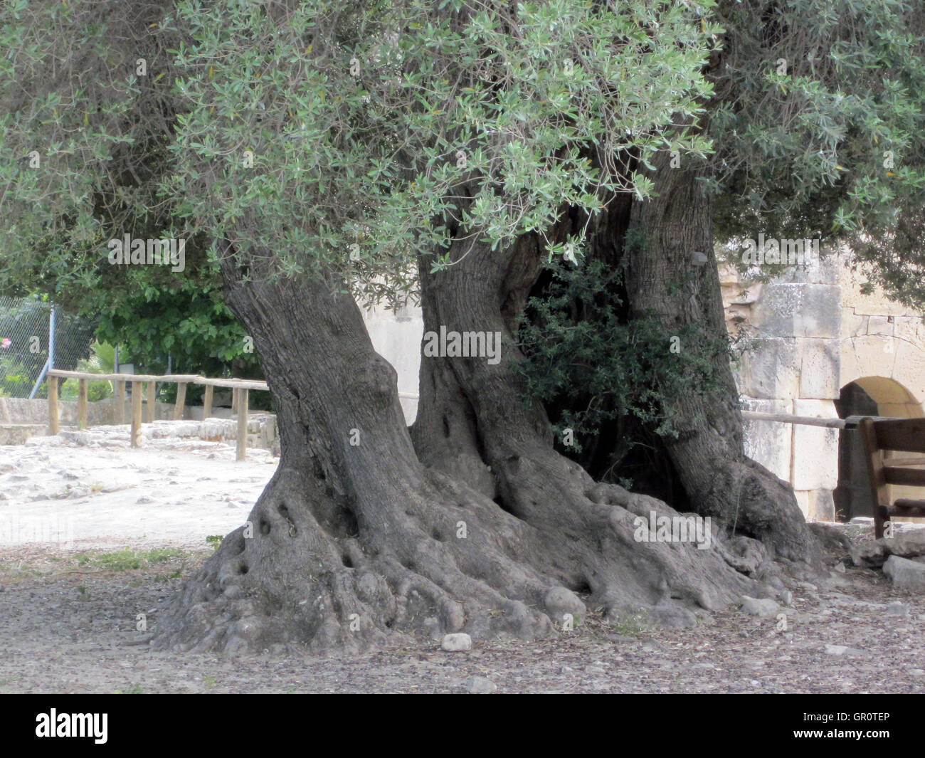 Hagia Triada (also Ayia Triada, Agia Triada, Agia Trias, Greek: [aˈʝia ...