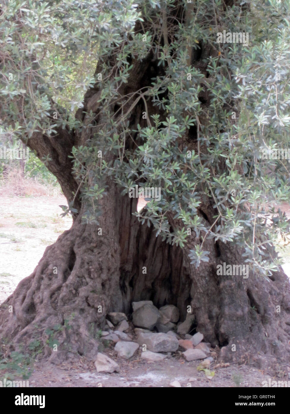 Hagia Triada (also Ayia Triada, Agia Triada, Agia Trias, Greek: [aˈʝia ...