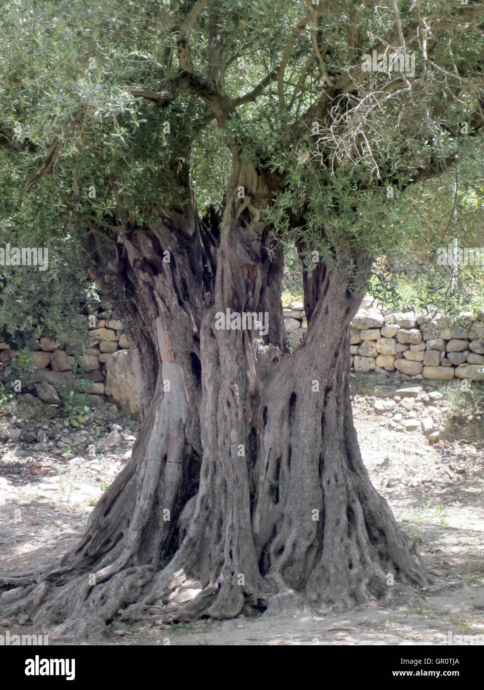 Hagia Triada (also Ayia Triada, Agia Triada, Agia Trias, Greek: [aˈʝia ...