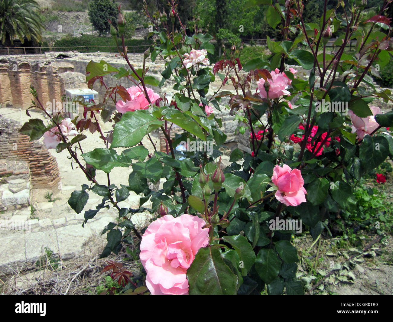 Hagia Triada (also Ayia Triada, Agia Triada, Agia Trias, Greek: [aˈʝia ...