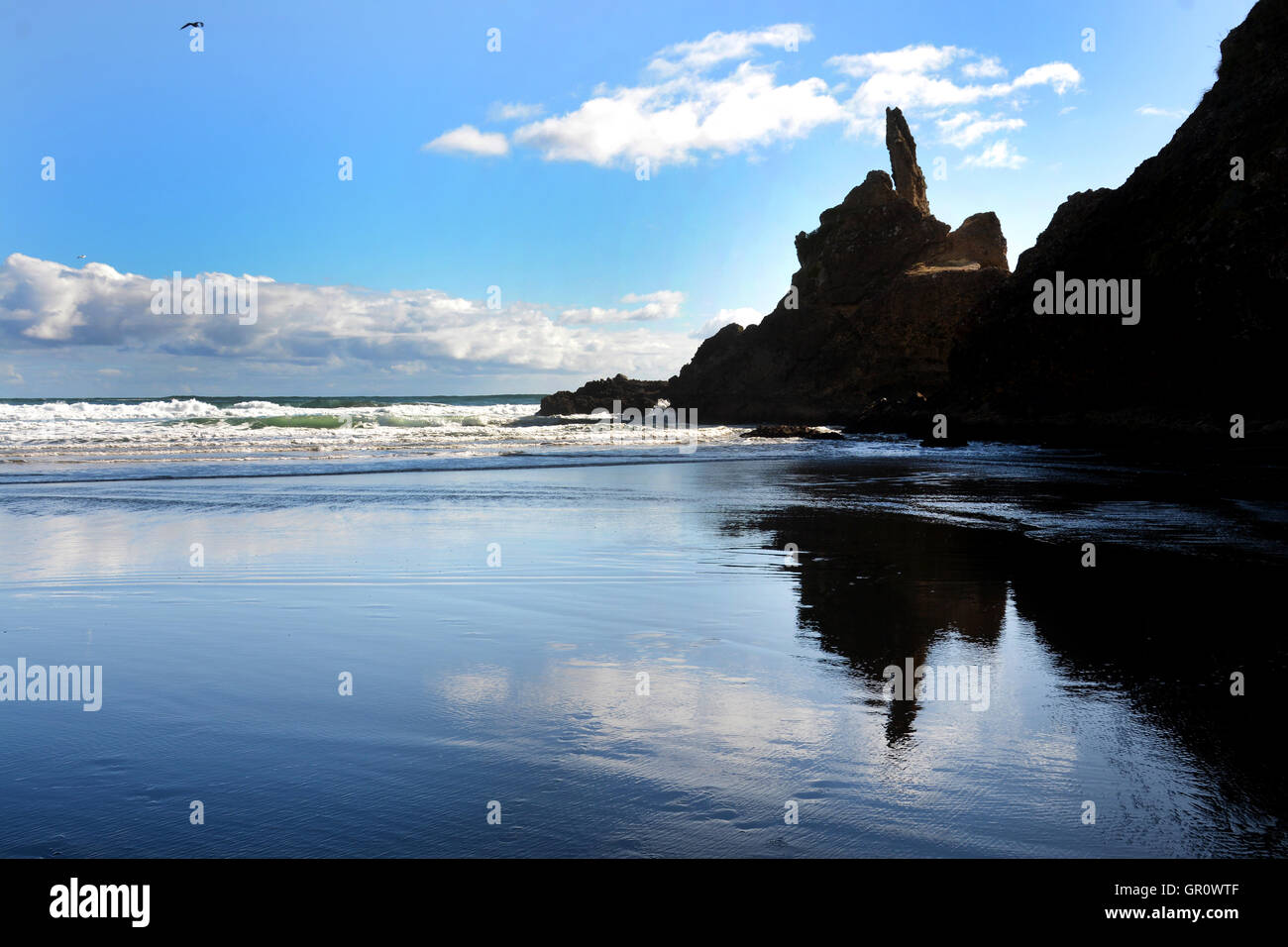 Piha beach hi-res stock photography and images - Alamy