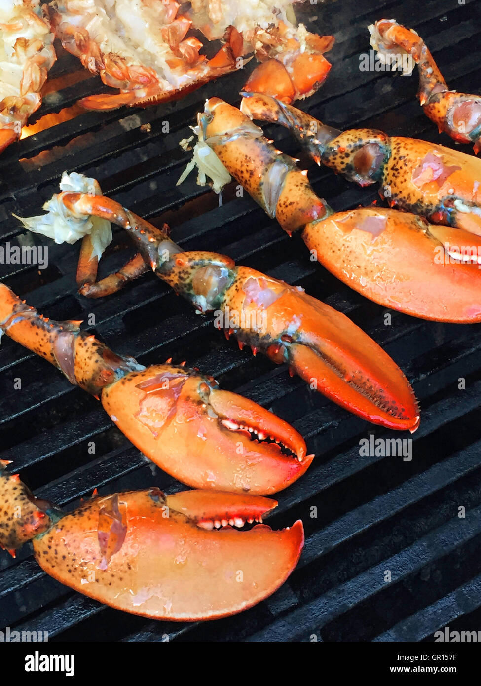 Claws shellfish hi-res stock photography and images - Alamy