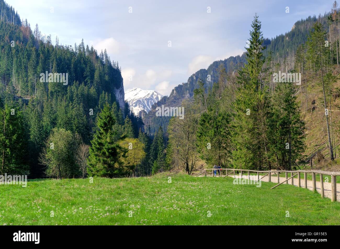 Spring mountain landscape. Beautiful mountain valley in Western Tatra ...