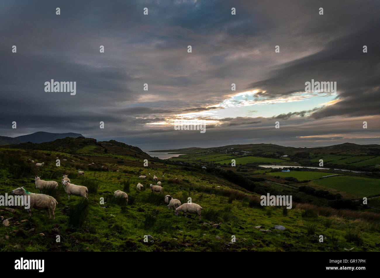 Richard mountain way hi-res stock photography and images - Alamy