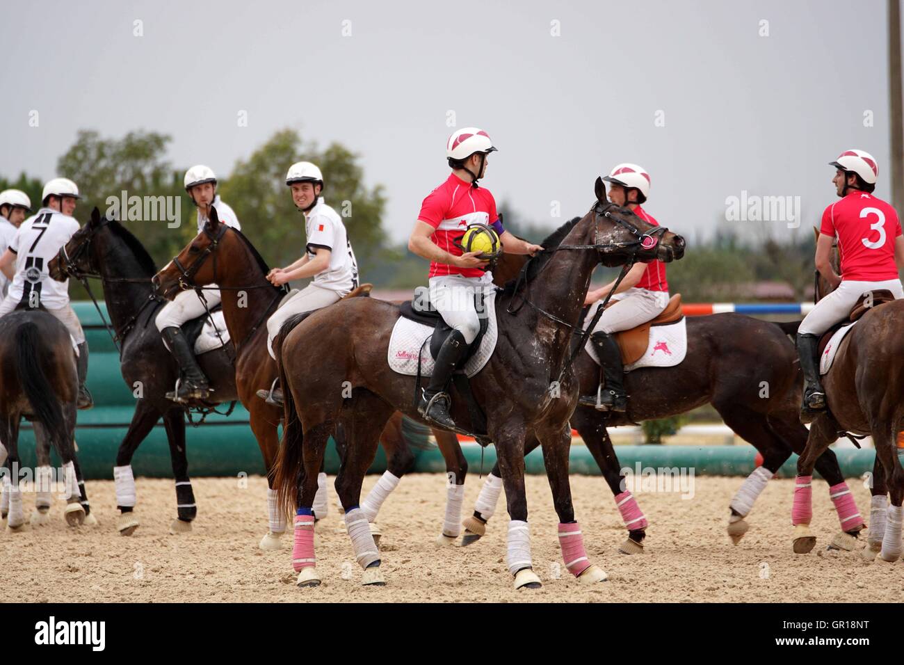 02.04.2016. Equestrian Centre of Curbs Nimes, Languedoc-Roussillon ...