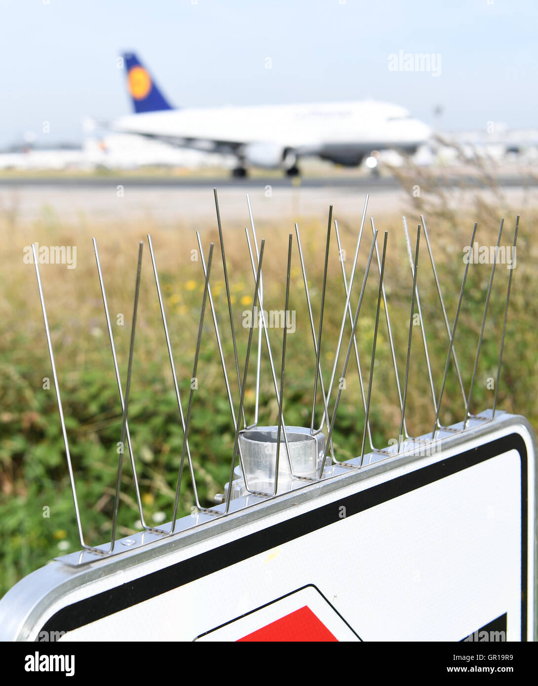 Bird control hi-res stock photography and images - Alamy