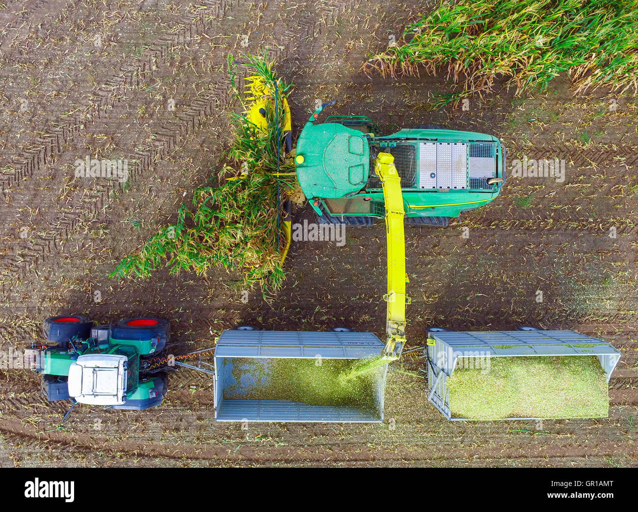 Pillgram, Germany. 05th Sep, 2016. An aerial photo from a drone shows ...