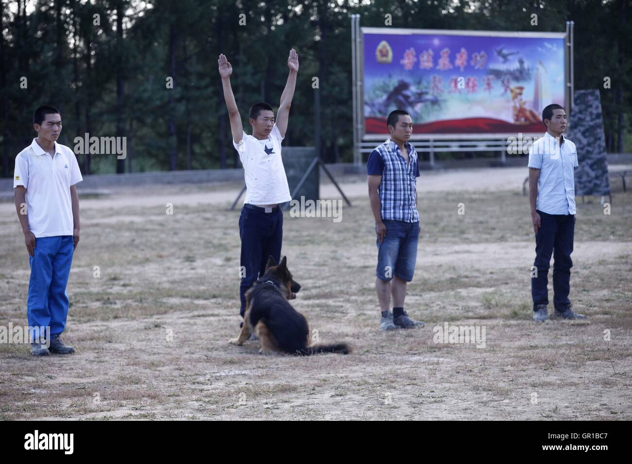 Zhang xiaolin hi-res stock photography and images - Alamy