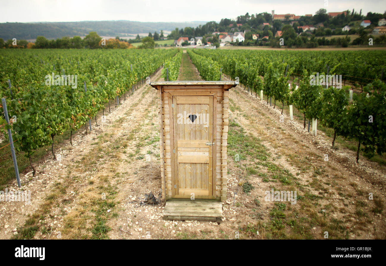 A hut stands in a vinyard in Muencheroda near Freyburg/Unstrut, Germany ...
