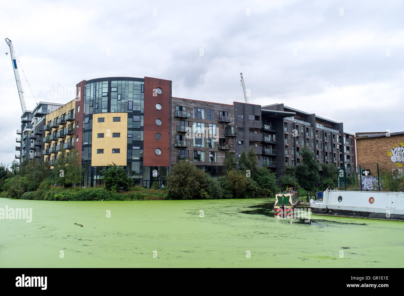 London UK. 6th September 2016. Hackney Wick's canal turns green due to ...
