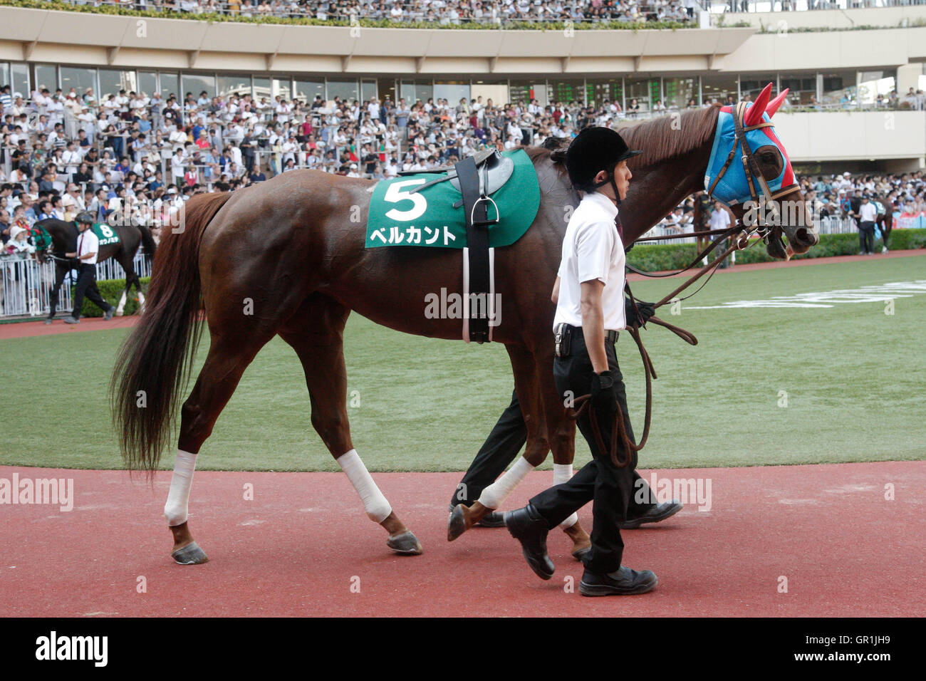 Fukuoka, Japan. 21st Aug, 2016. Bel Canto Horse Racing : Bel Canto is ...