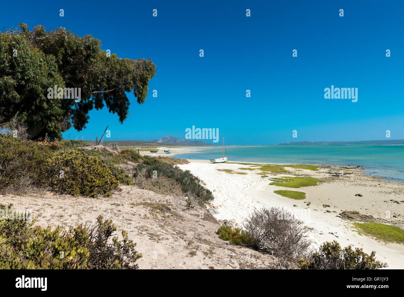 Coastline langebaan hi-res stock photography and images - Alamy