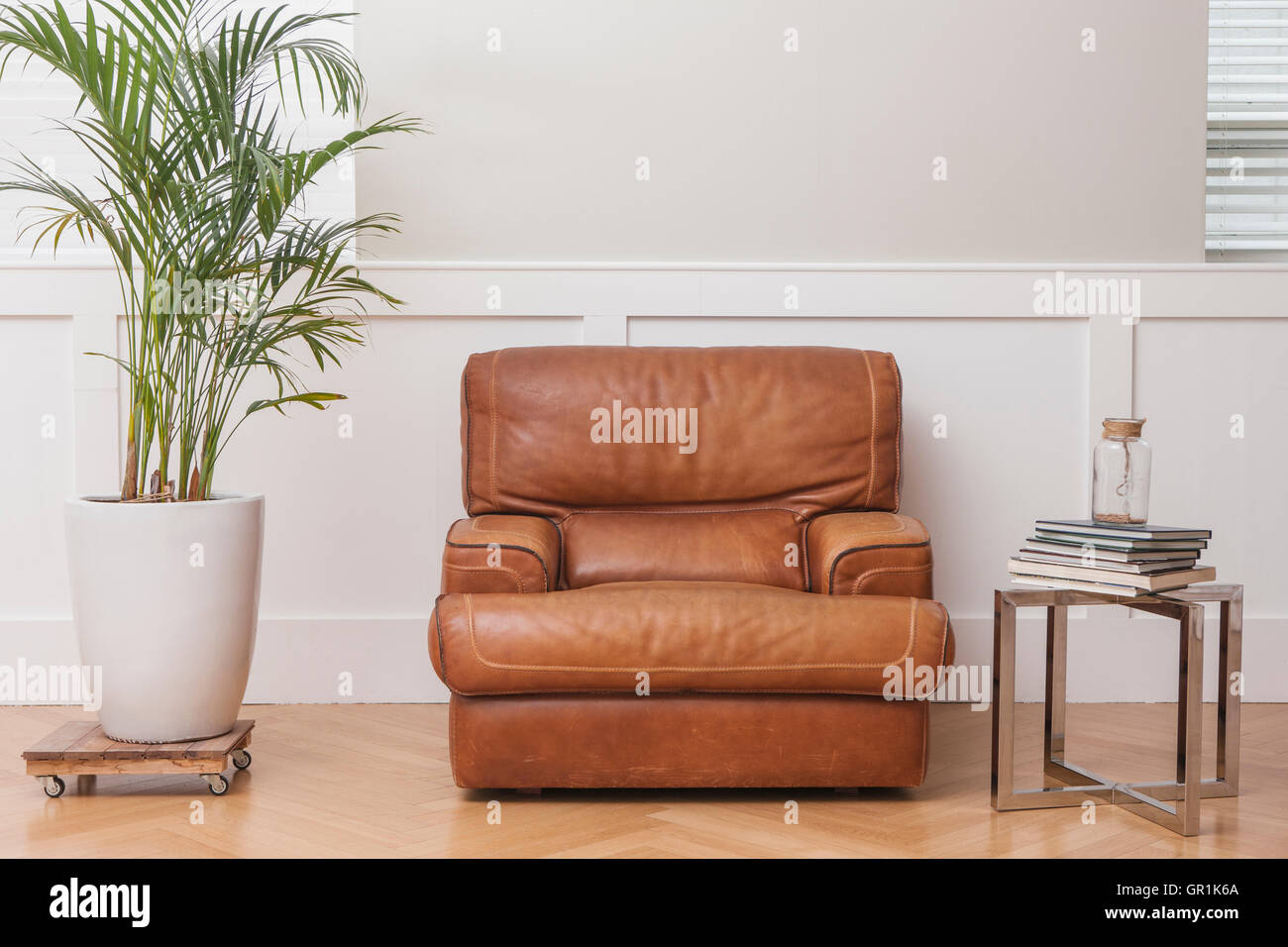 Interior with planted pot and sofa Stock Photo - Alamy