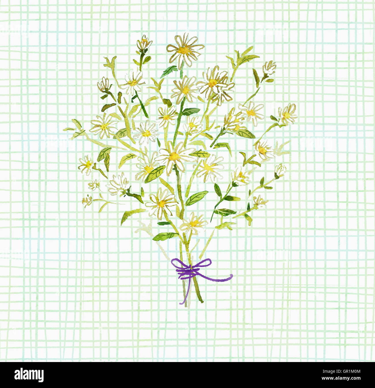 Illustration of spring flowers Stock Photo - Alamy