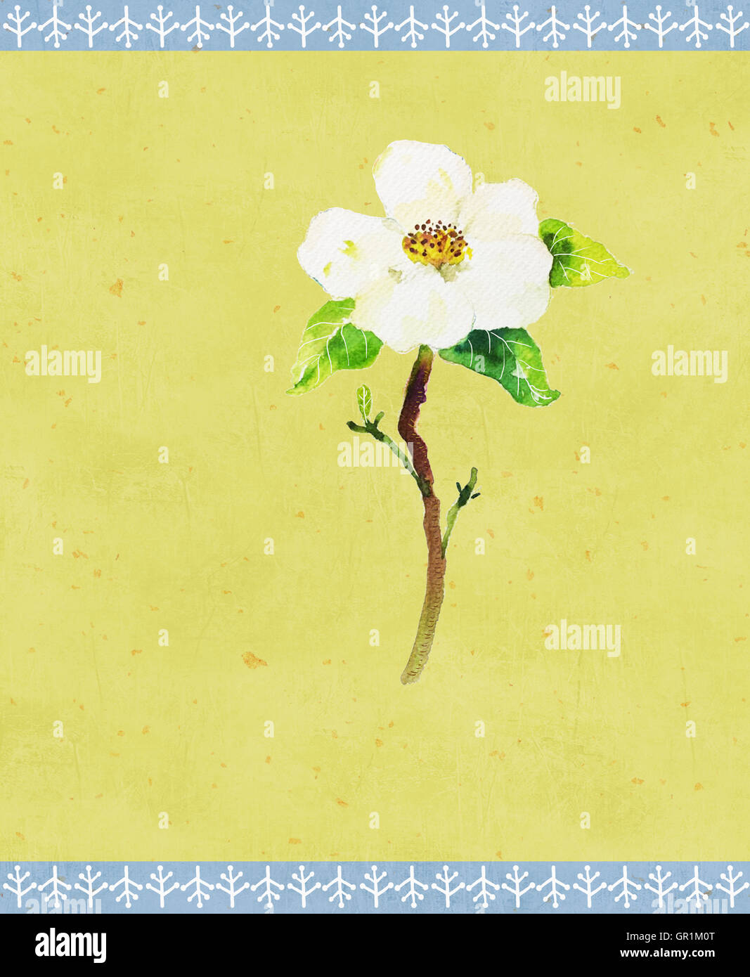 Watercolor spring flower Stock Photo - Alamy