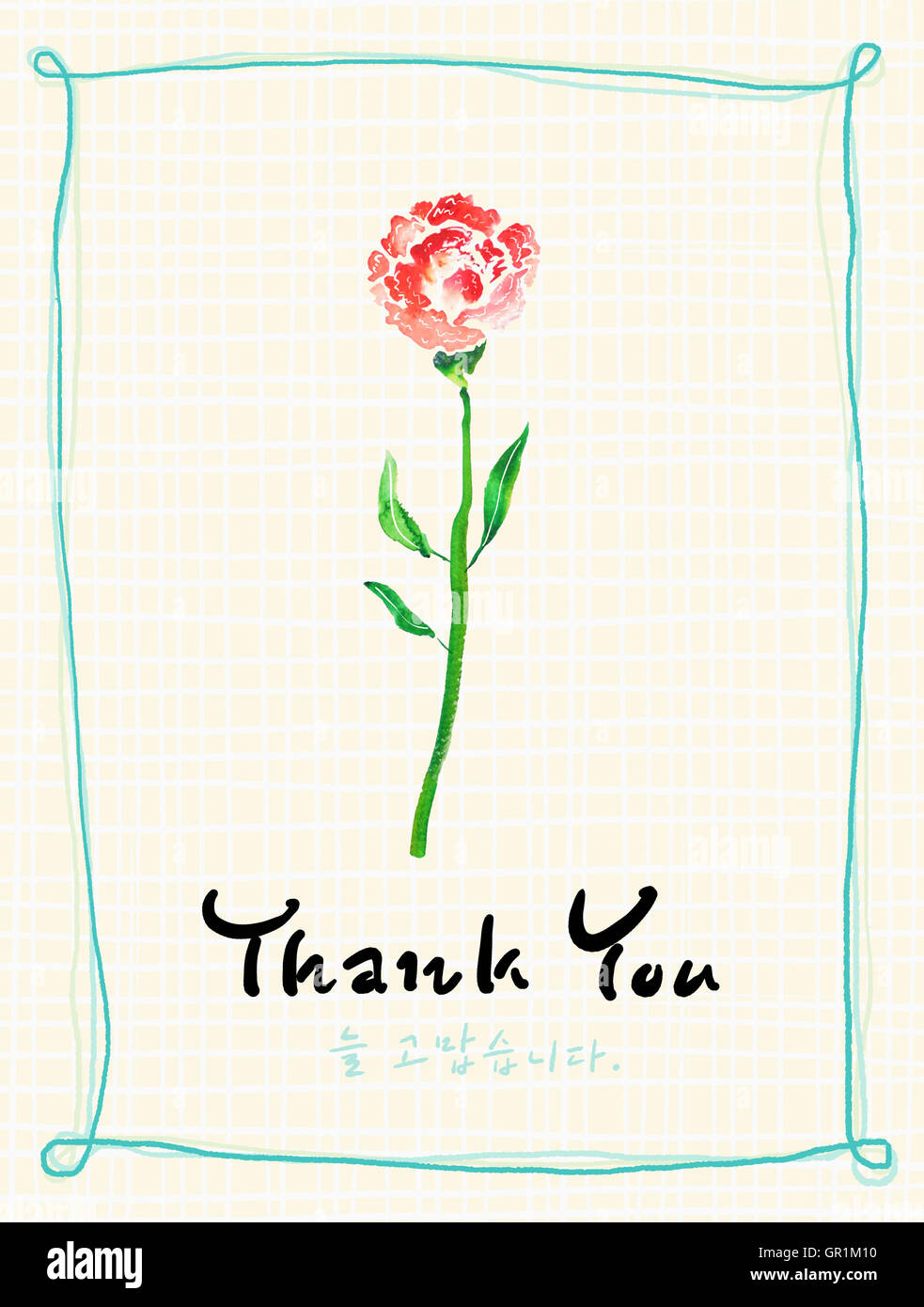 Calligraphic gratitude message with carnation Stock Photo - Alamy