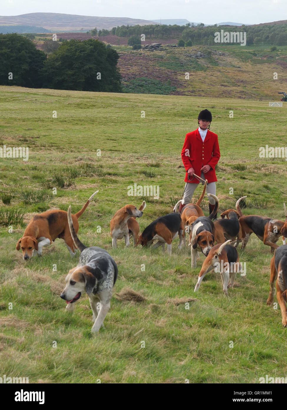 Barlow hunt hi-res stock photography and images - Alamy