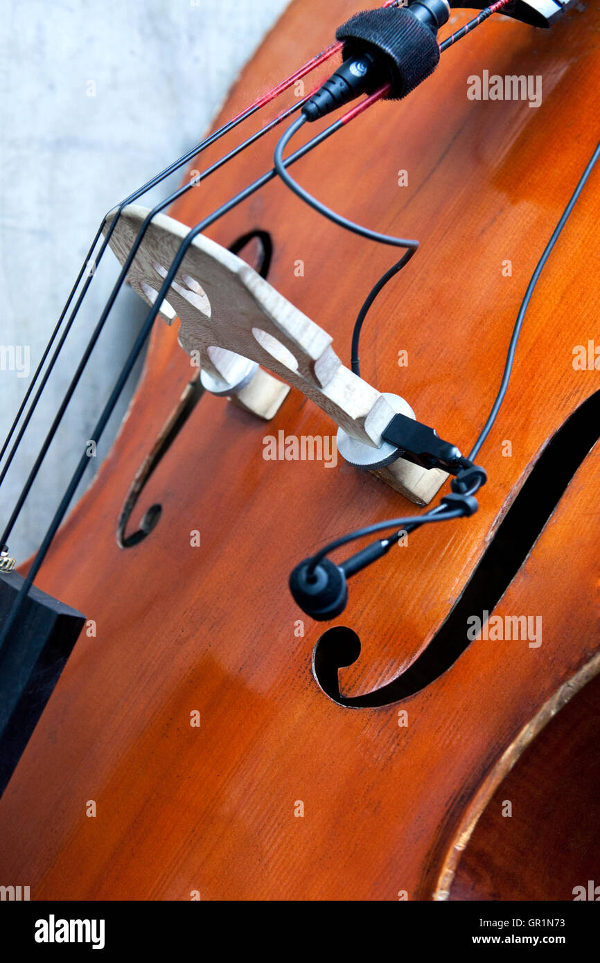 Strings and microphone of a wooden bass Stock Photo - Alamy