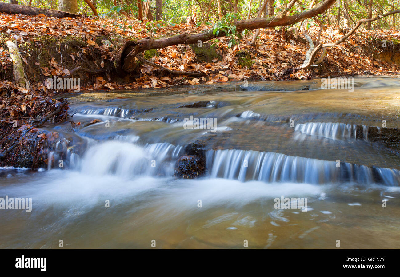 Little stream in North Carolina running over a small cascade Stock ...