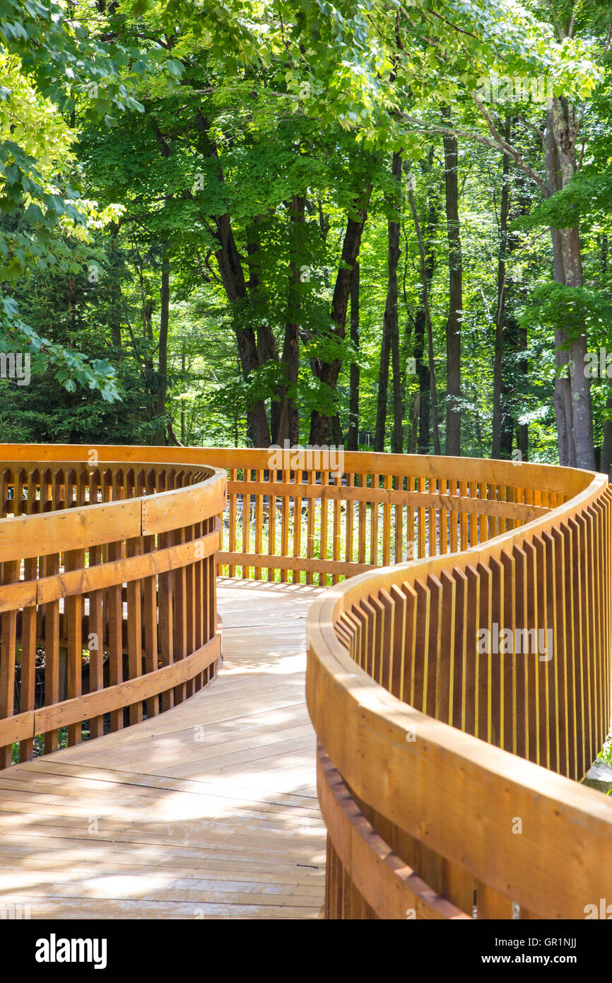 Newly constructed wooden path with railing through nature area Stock ...